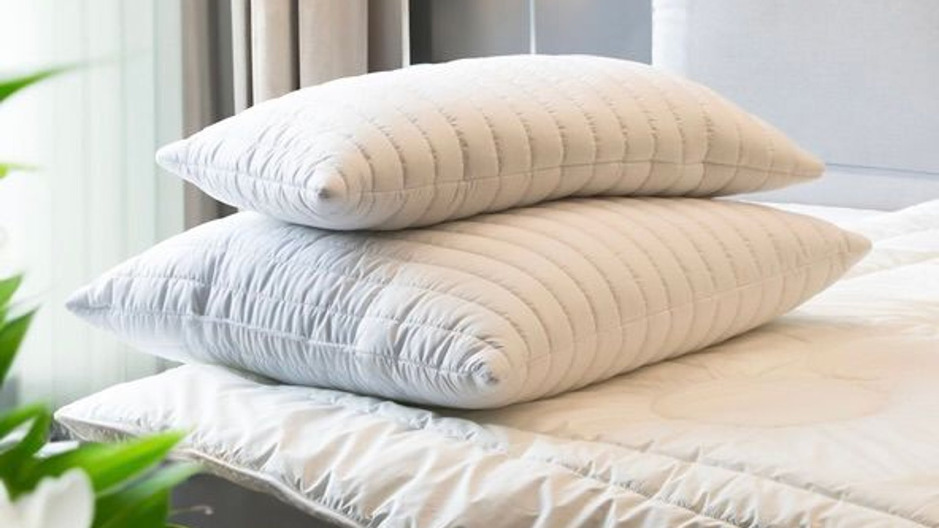 Schnäppchen: Emma Dreamium für 15,99 Euro