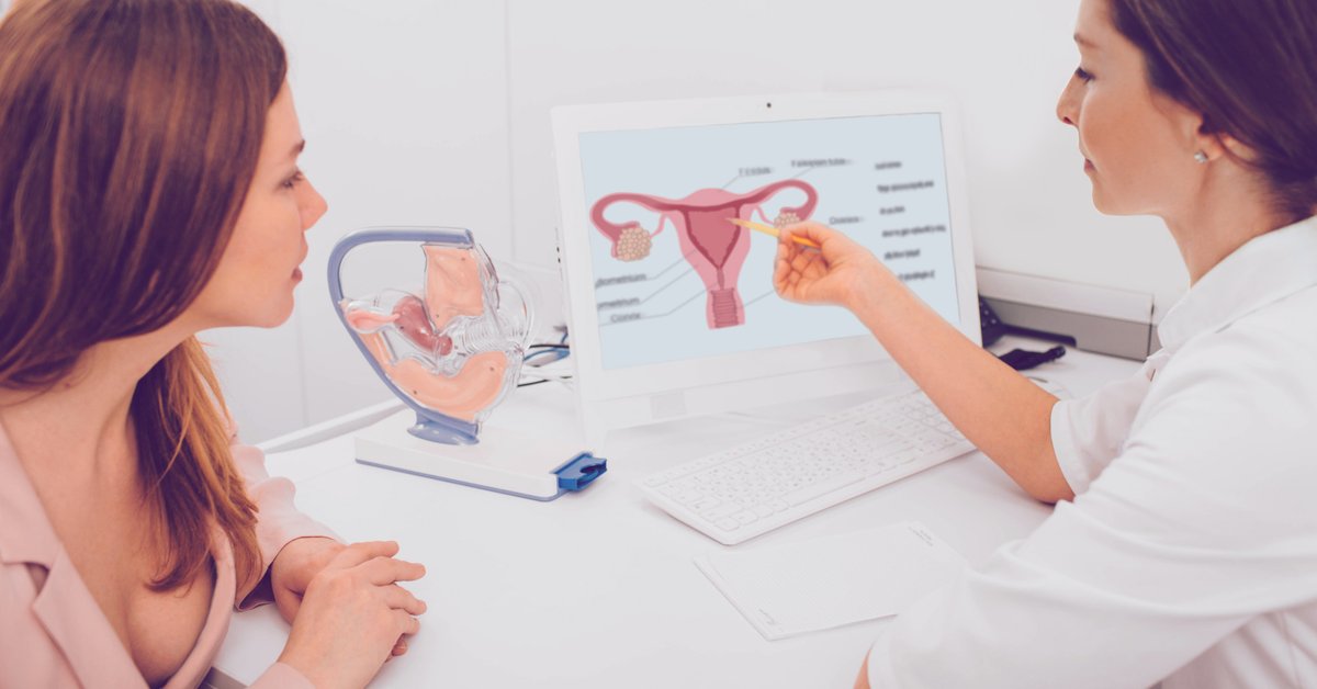 Eileiter: Diese Aufgabe haben sie im weiblichen Körper