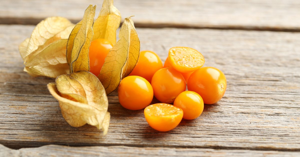 Physalis essen: Alles Wichtige über die Frucht