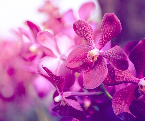 Loch geben Bedeutung: Das steckt wirklich hinter dem Begriff