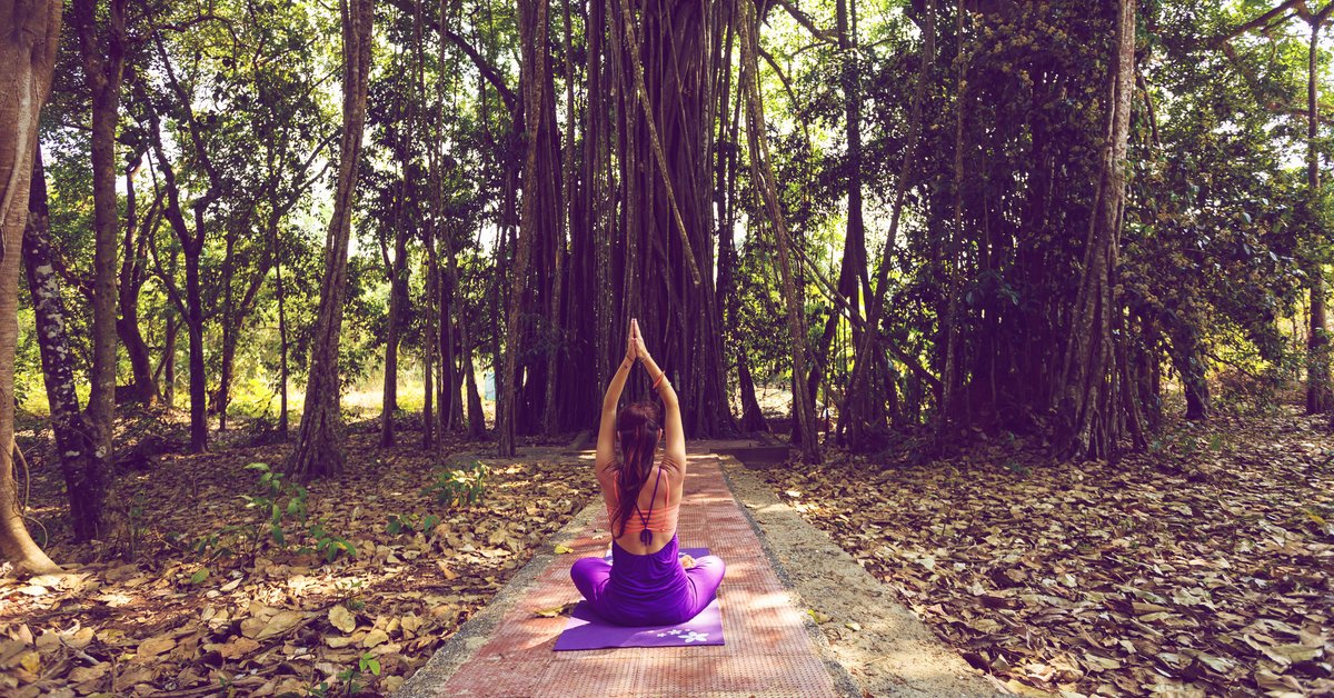 Forrest Yoga: So geht die beliebte Yoga-Praxis