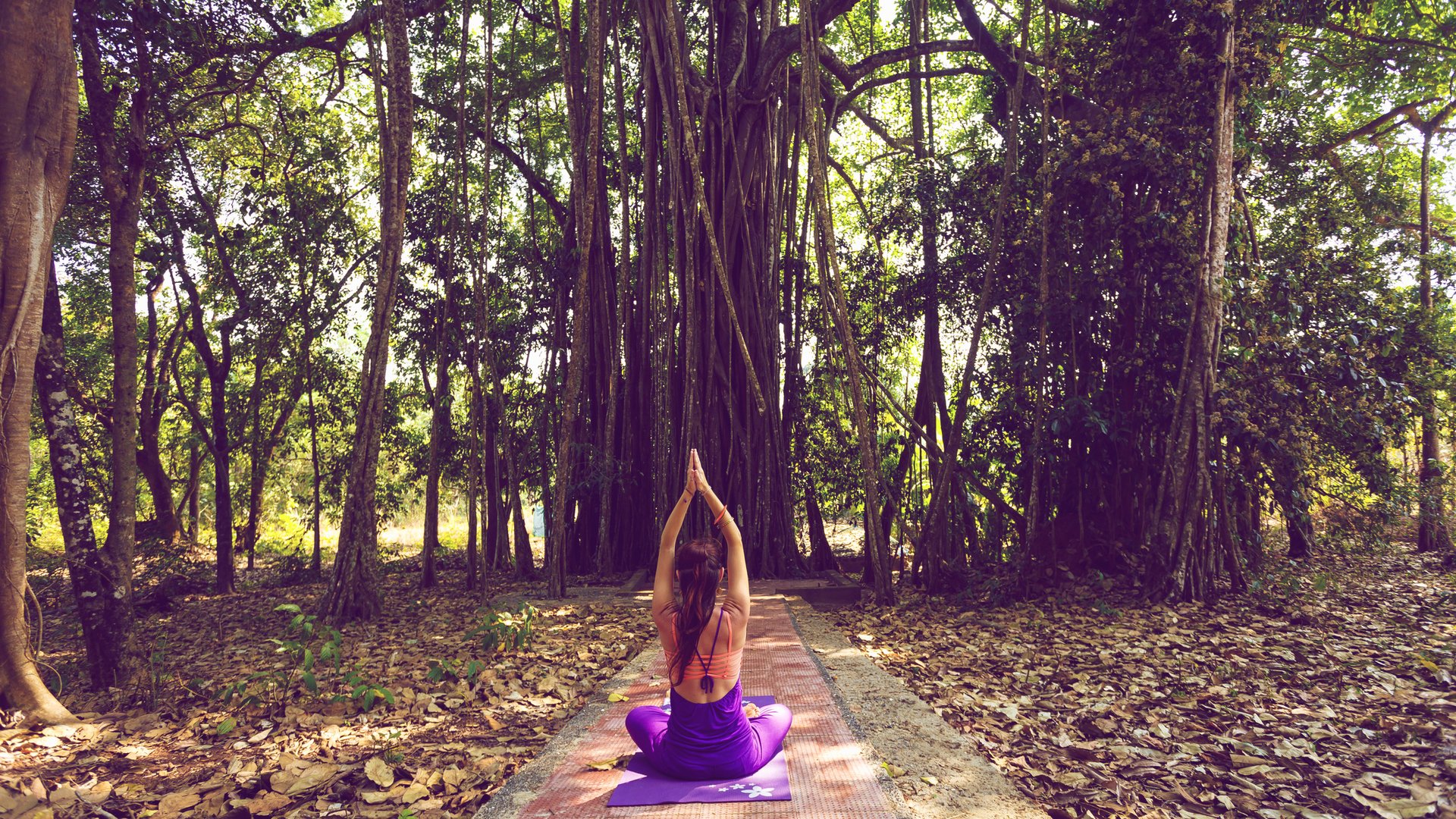 Forrest Yoga: So geht die beliebte Yoga-Praxis