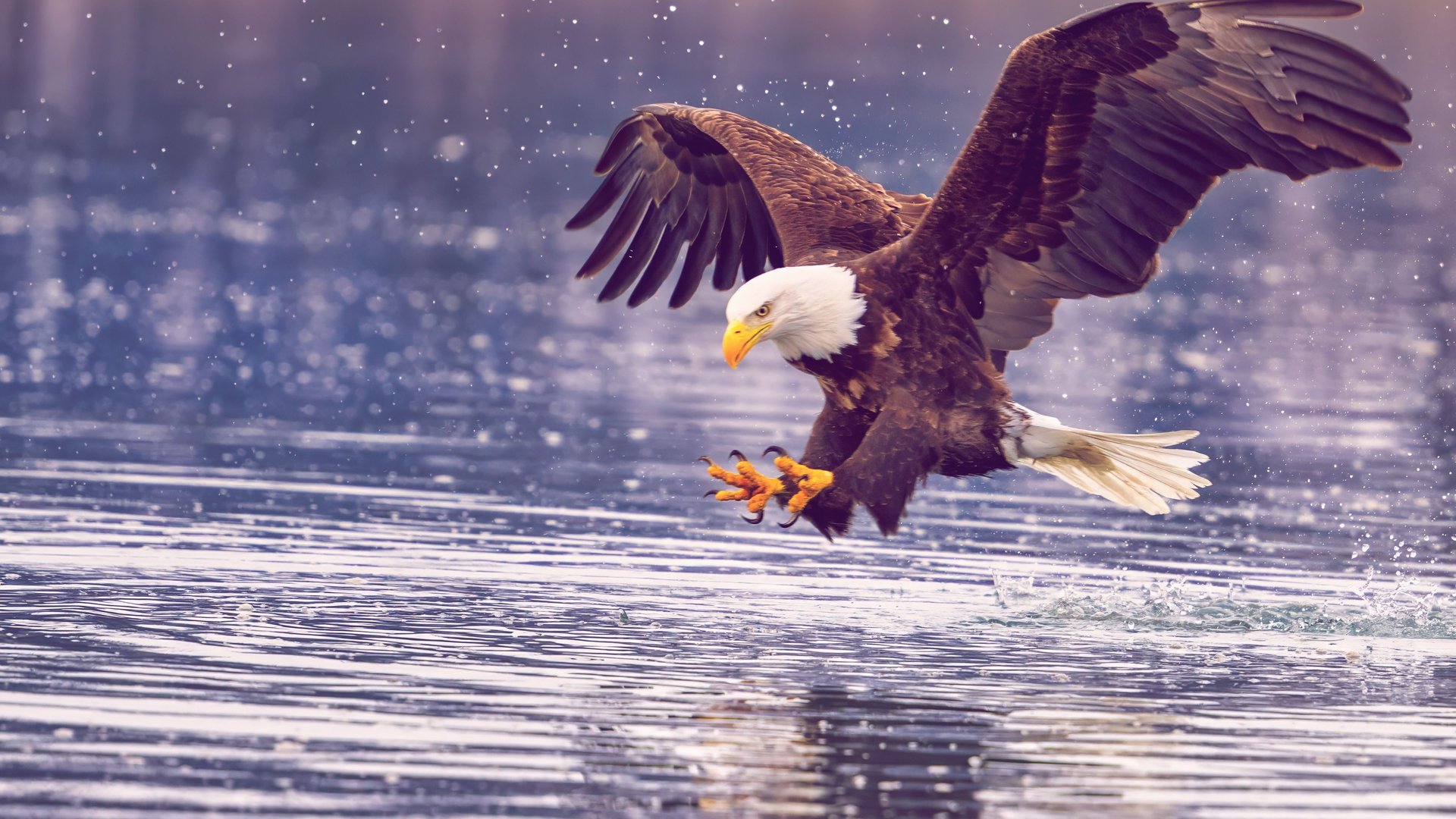 Adler-Tattoo: Bedeutung & die schönsten Vorlagen