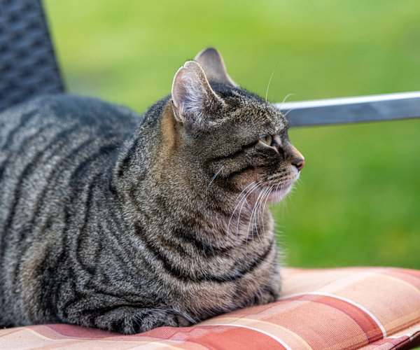 Loch geben Bedeutung: Das steckt wirklich hinter dem Begriff