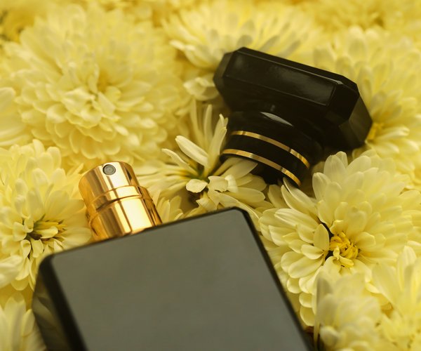 Verführt von Blüten: Das neue dm-Parfum zaubert eine blumige ...