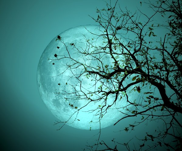 ADHS bei Frauen: Ursachen, Symptome und Behandlung