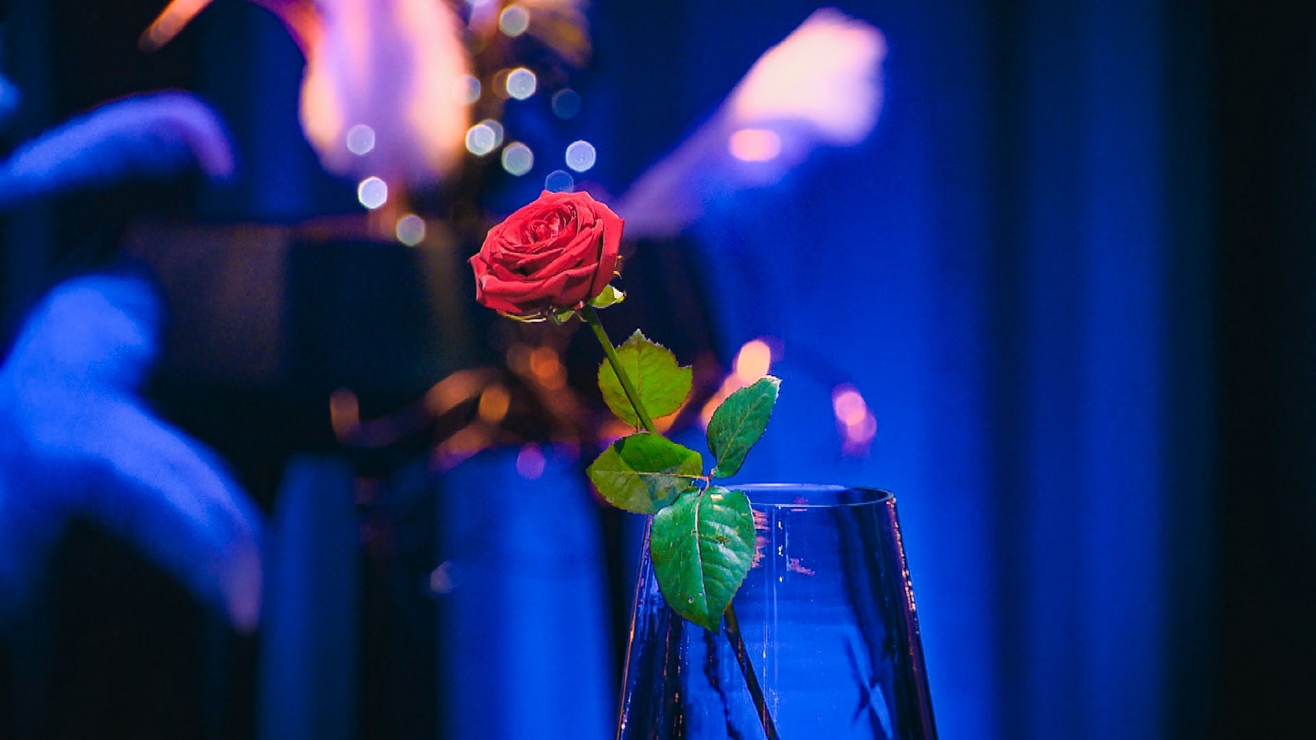 Bachelor-Finale: Niko gibt IHR die letzte Rose - doch dann...