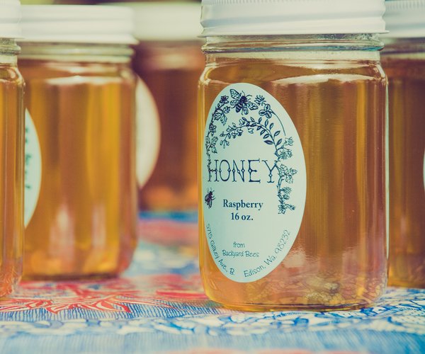 Was bedeutet „Chaya“? So verwendest du das Wort richtig