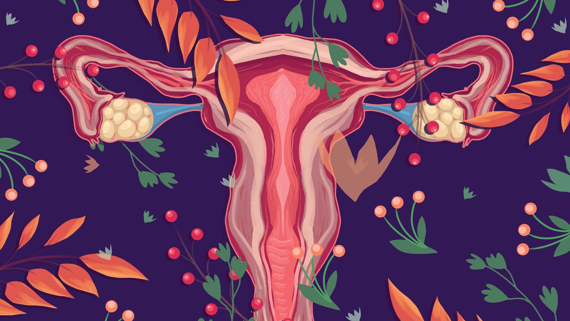 Verklebte Eileiter: Symptome, Ursachen und Behandlung