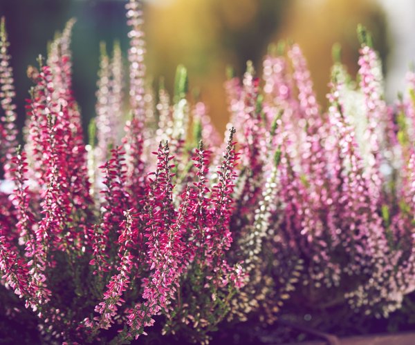 Loch geben Bedeutung: Das steckt wirklich hinter dem Begriff