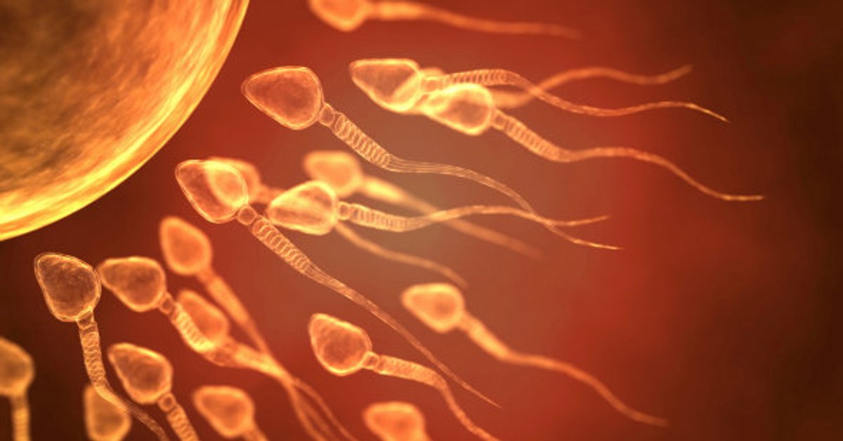 Eileiter | desired.de