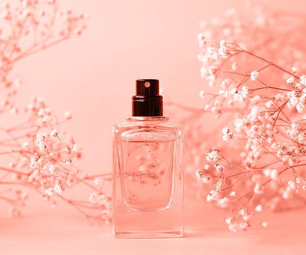 Lust auf gute Laune? Dieses vegane Parfum von Rossmann ist ein Must-have