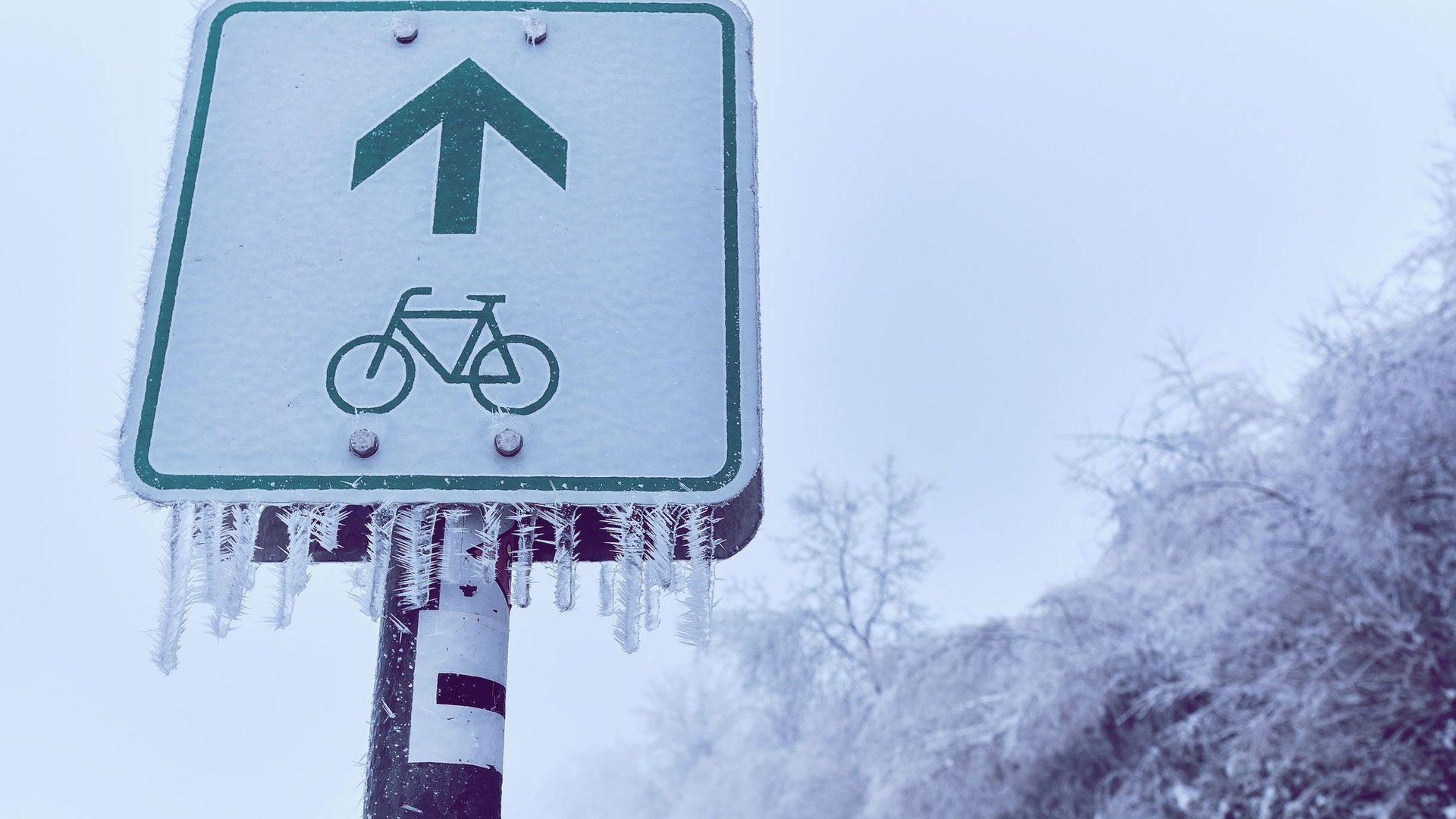 Winter-Comeback am Wochenende: Heftiger Temperatursturz erwartet!