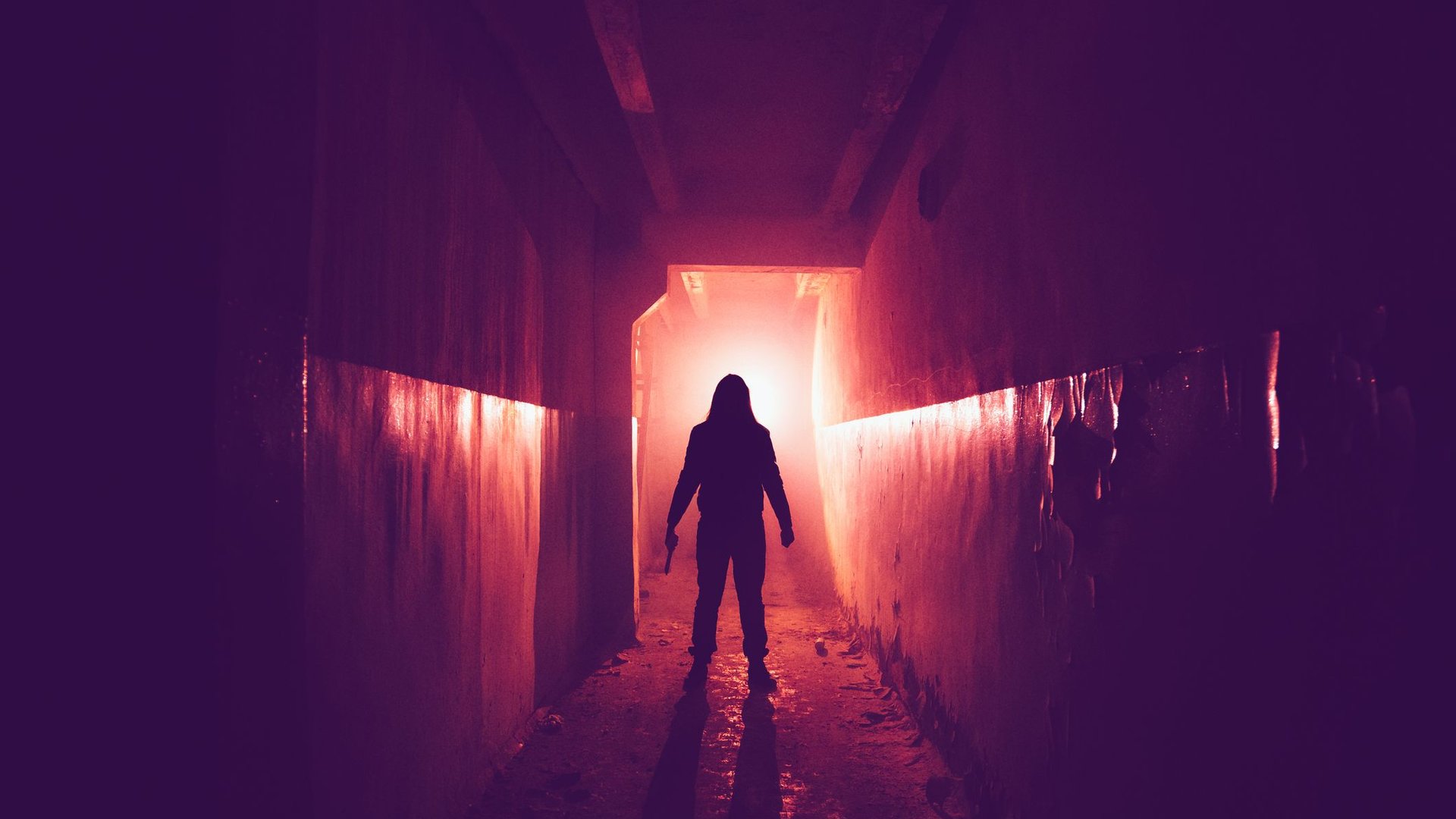 Thriller und Krimis: 3 Roman-Klassiker, die auch heute noch schockieren