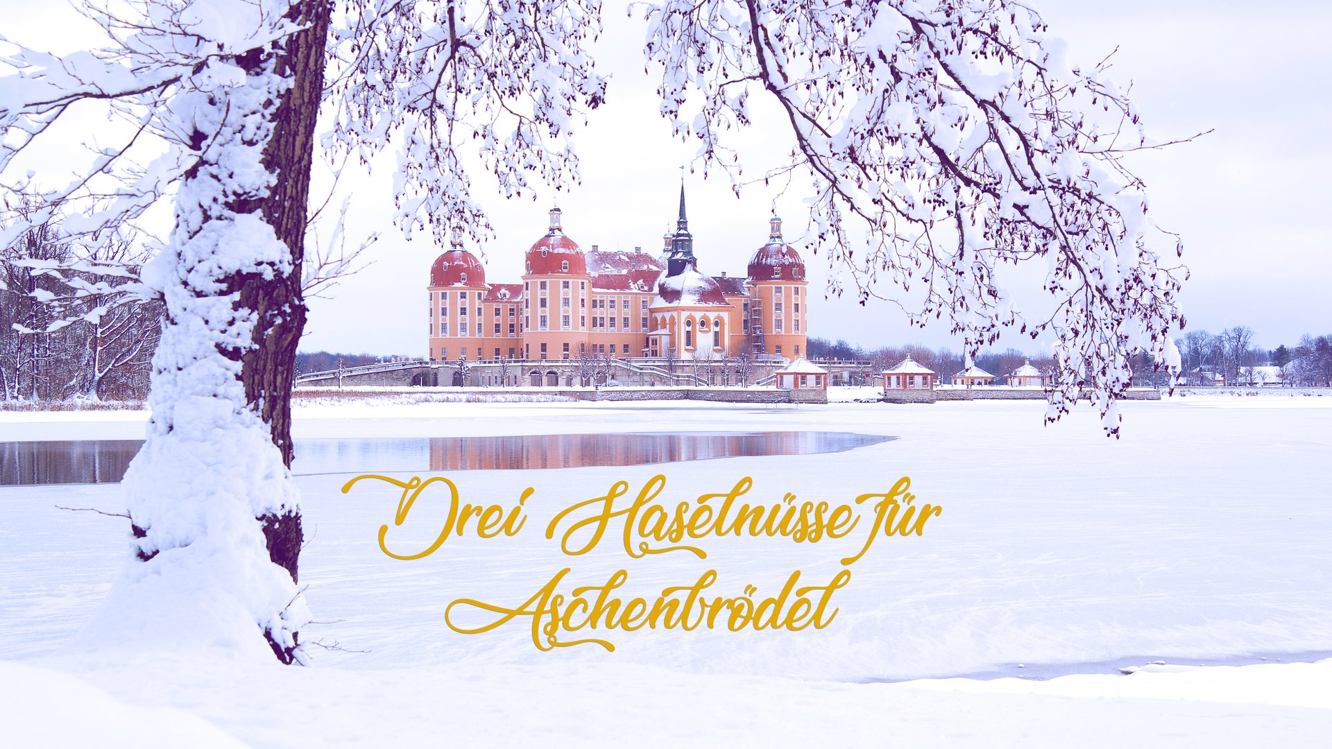 Weihnachtszauber pur: „Drei Haselnüsse für Aschenbrödel“ heute anschauen!