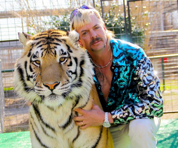 TV & Streaming: News und Tipps