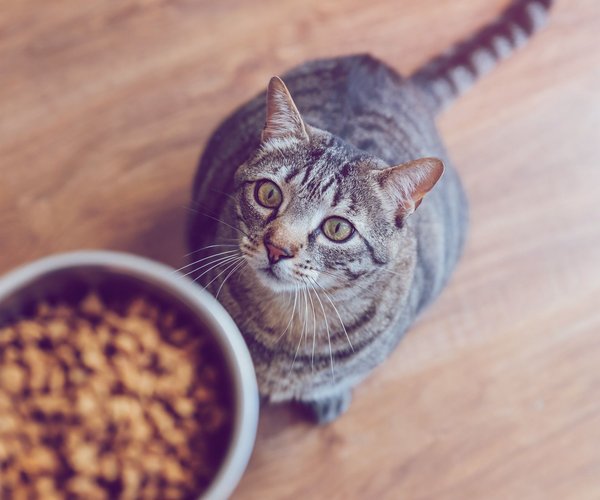 Loch geben Bedeutung: Das steckt wirklich hinter dem Begriff