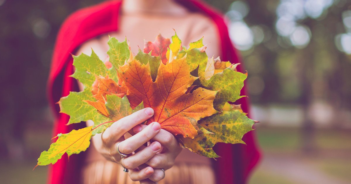 Blätter im Herbst: Warum verfärben sie sich?
