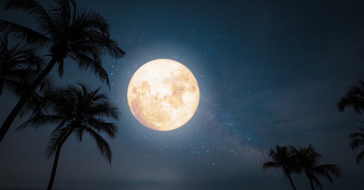 Vollmond im Januar: Diese Sternzeichen werden besonders stark beeinflusst