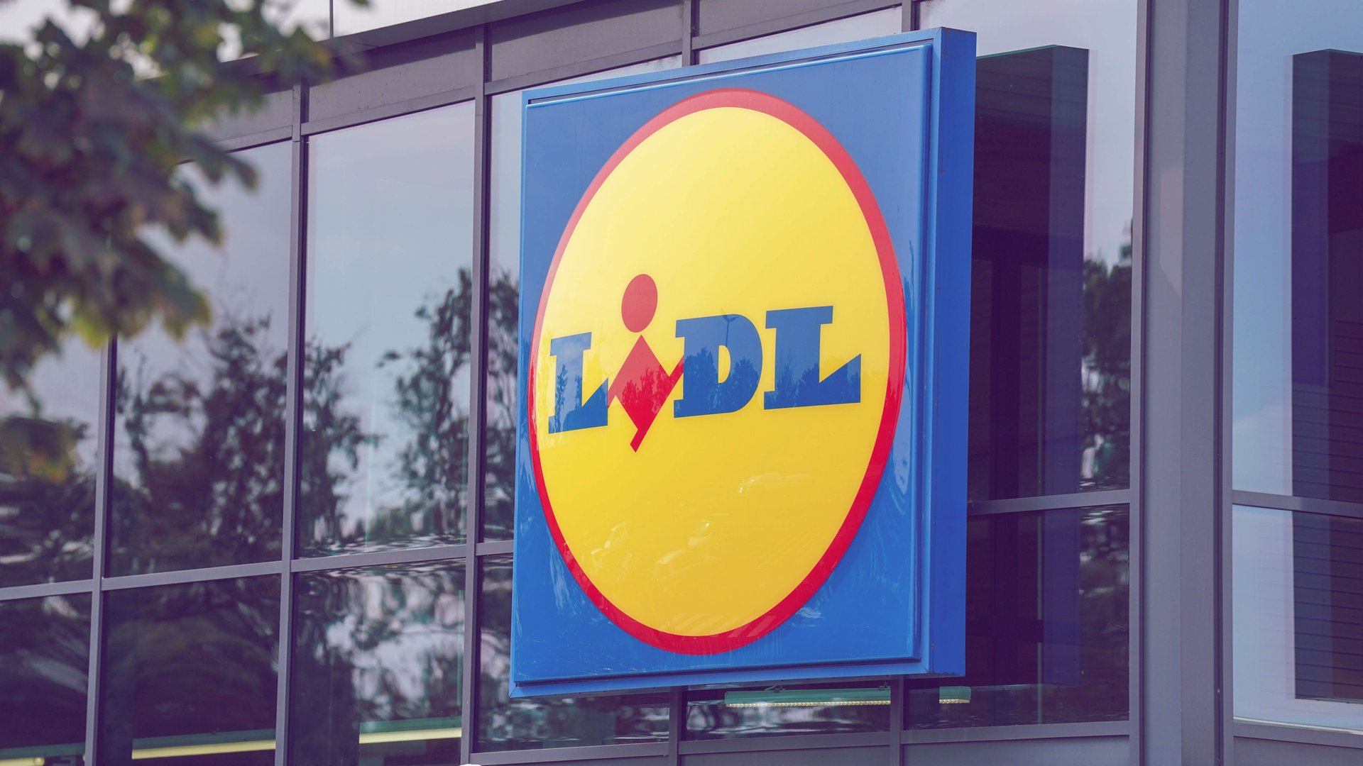 Dir fehlt noch der perfekte Strickpullover? Lidl hat ihn für 12 Euro