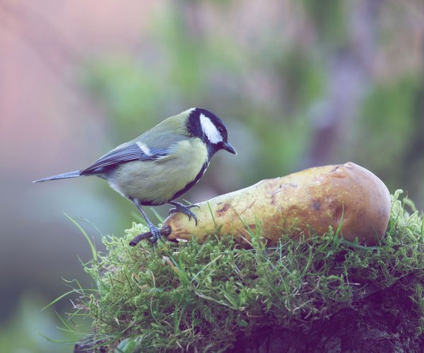Loch geben Bedeutung: Das steckt wirklich hinter dem Begriff