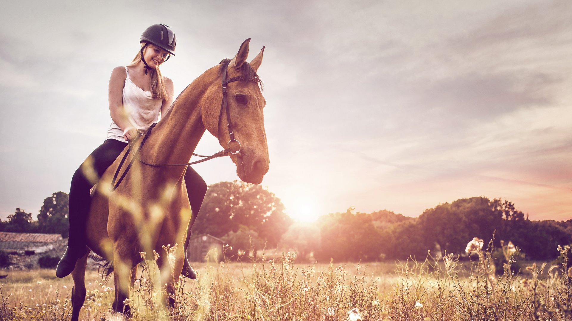 Kalorienverbrauch beim Reiten: So anstrengend ist Reiten wirklich!