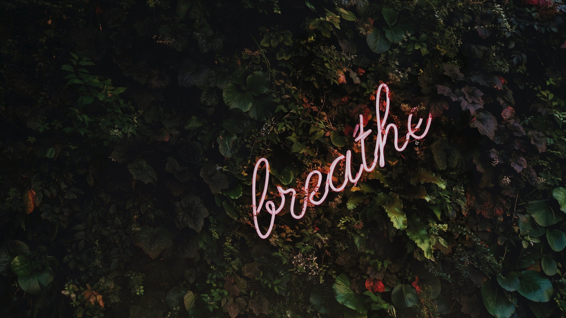 Psychedelic Breath: Meine Erfahrungen mit der gehypten Atemtechnik