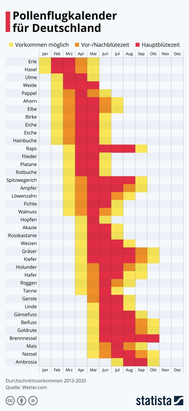 Der Pollenkalender: Welche Pollen blühen wann?