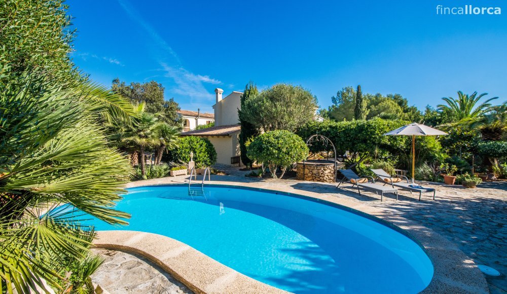 Workation auf Mallorca: So kannst du Home Office im Ausland machen