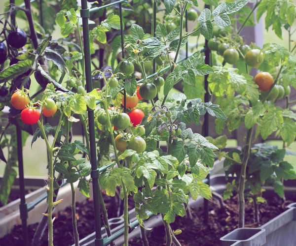 Loch geben Bedeutung: Das steckt wirklich hinter dem Begriff