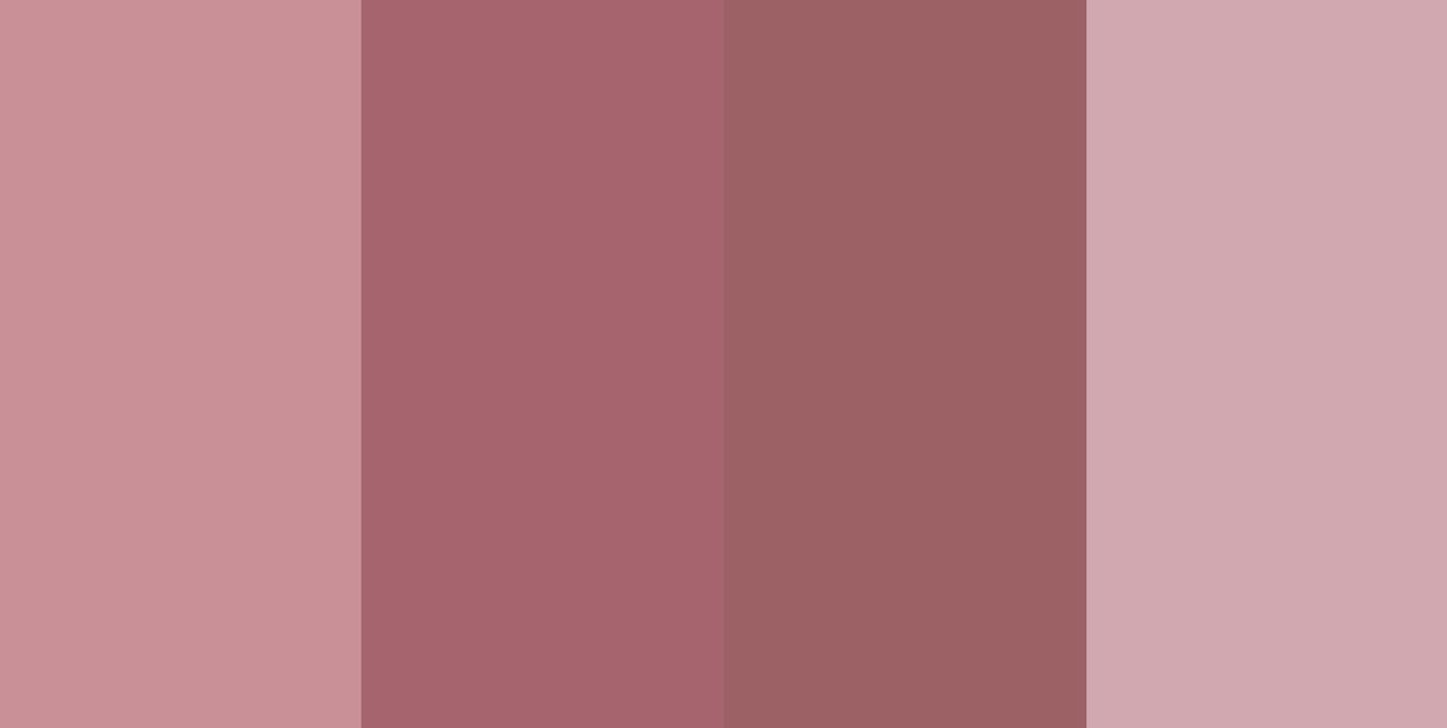 Lippenstift In Rosenholz Diese Farbe Steht Jedem Hauttyp 
