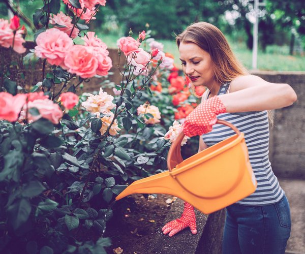 „Beef haben“: Das ist die Bedeutung des Slang-Begriffs