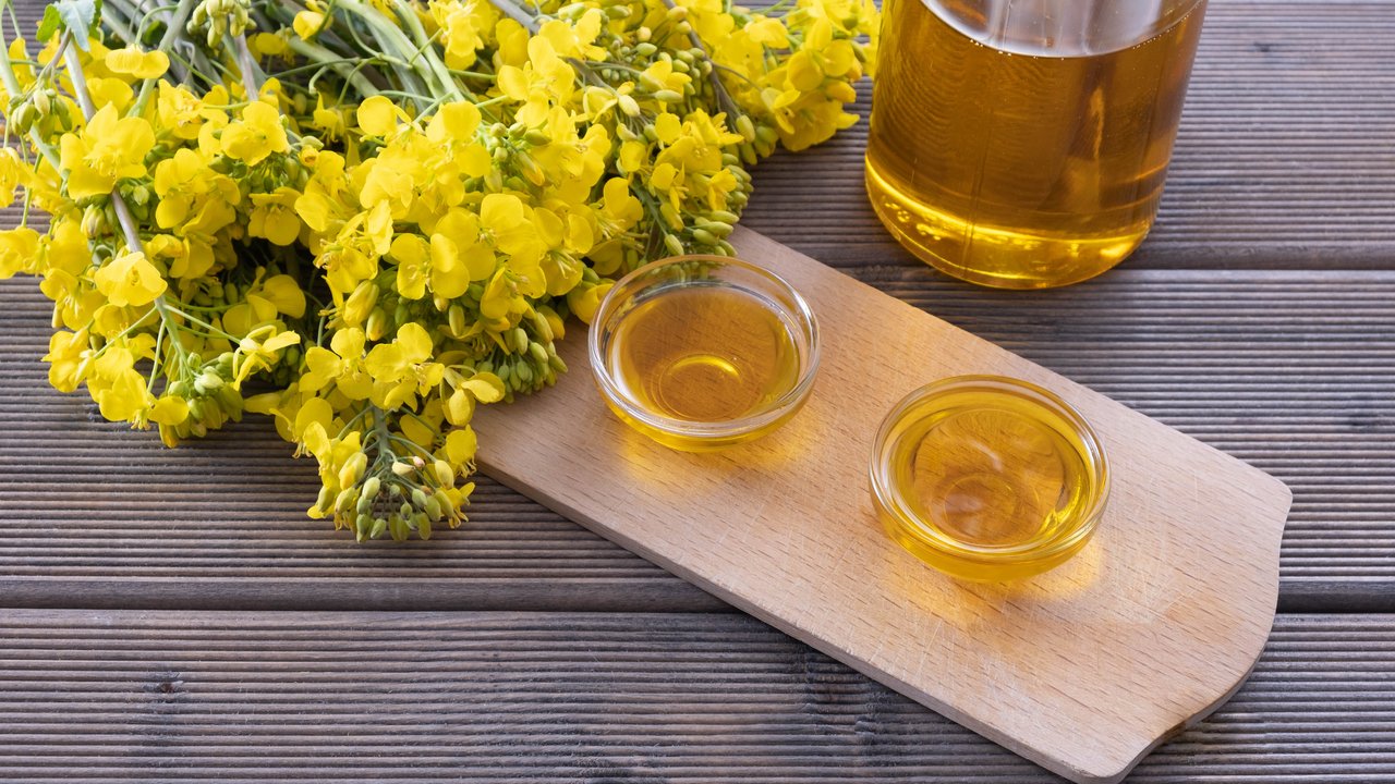 Rapsöl: gesund und was steckt wirklich im Multitalent?