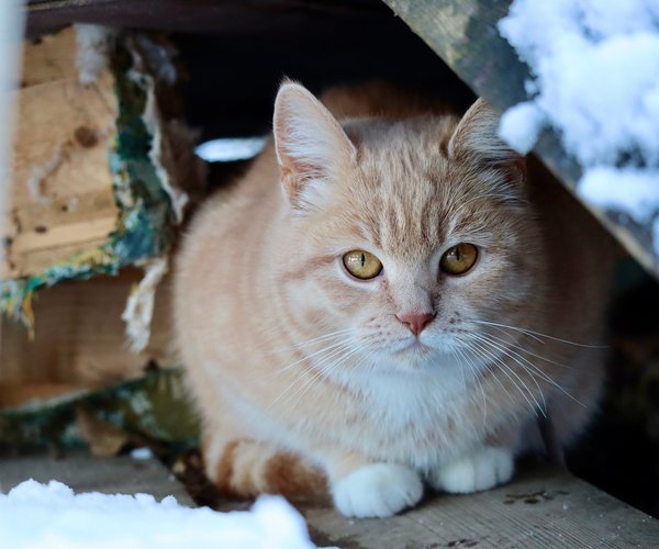 Loch geben Bedeutung: Das steckt wirklich hinter dem Begriff