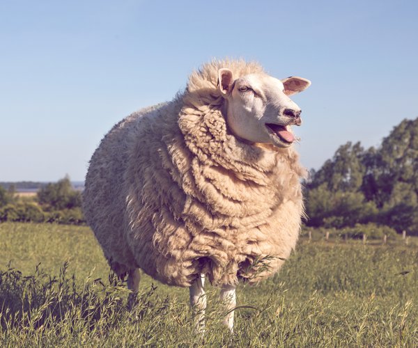 Loch geben Bedeutung: Das steckt wirklich hinter dem Begriff