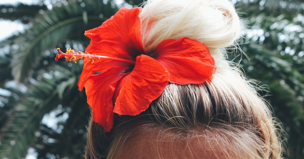 Octopus Buns sind der Haartrend für den Sommer