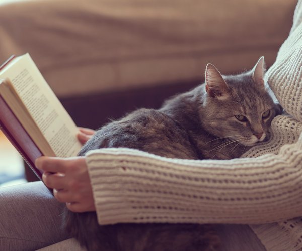 Lustige Alexa-Fragen: 75 Ideen für richtige Lacher