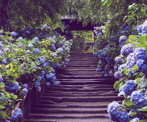 Loch geben Bedeutung: Das steckt wirklich hinter dem Begriff